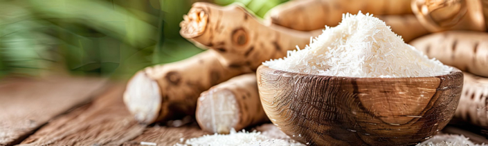 Tapioca Maltodextrin – Vitalo Life Science